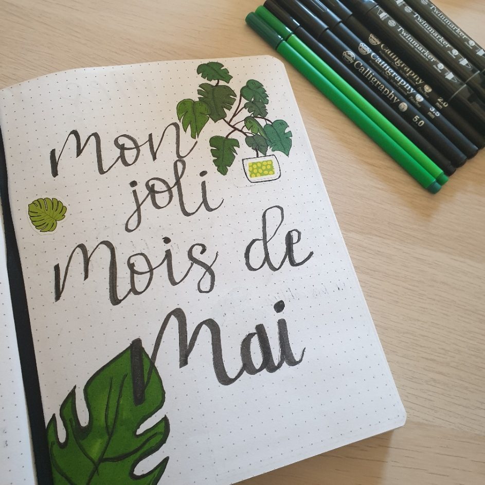 Mon bullet journal de mai - Taiaoli